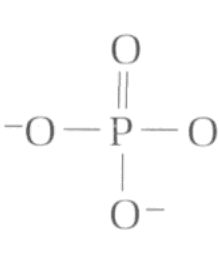 Basics – Die DNA – blooDNAcid