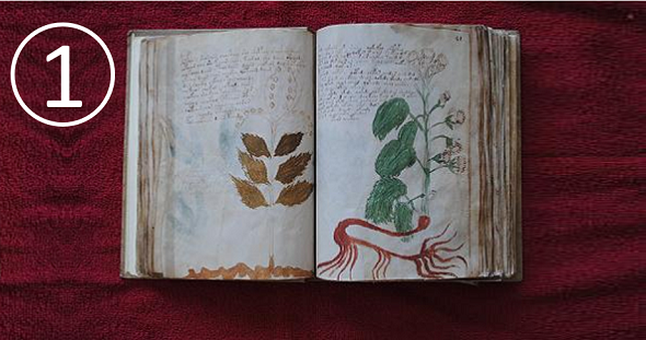 Has Gordon Rugg solved the mystery of the Voynich manuscript text? Part ...