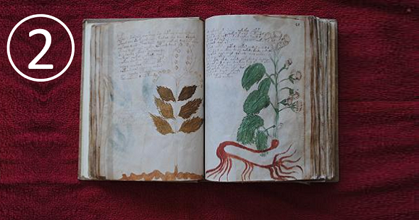 Has Gordon Rugg solved the mystery of the Voynich manuscript text? Part ...
