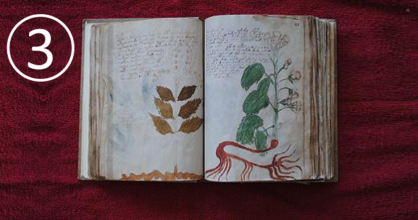 Has Gordon Rugg solved the mystery of the Voynich manuscript text? Part ...