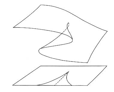 cusp_surface – Mathlog