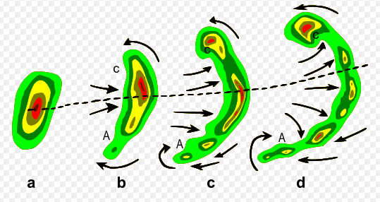 542px-Bow_echo_diagram – weatherlog